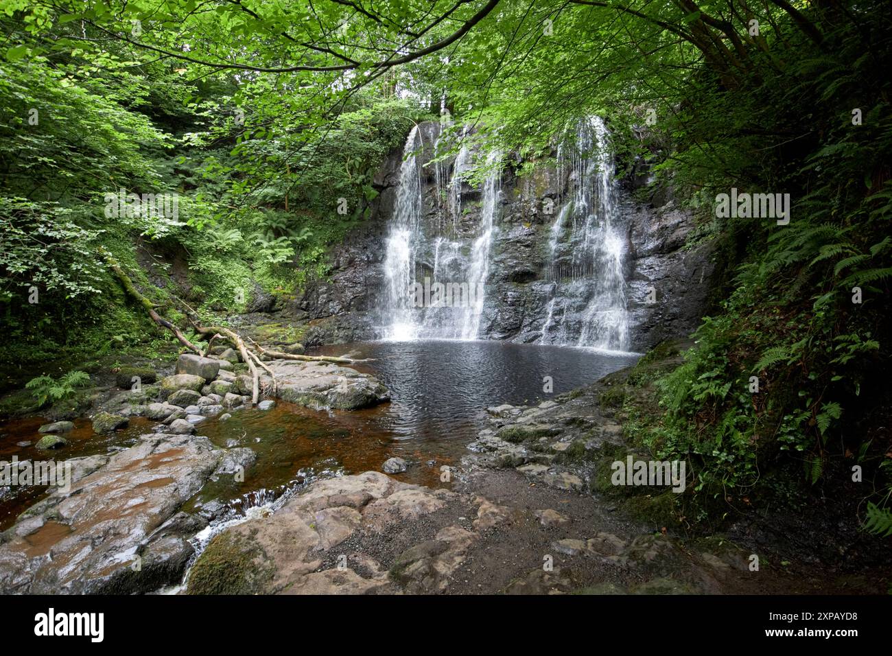 Forest waterfalls ireland hi-res stock photography and images - Alamy