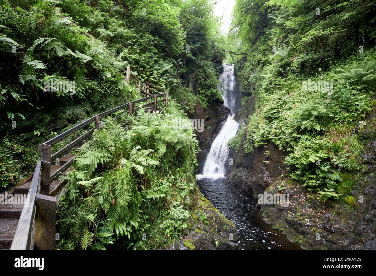 ess-na-larach waterfall and boardwalk in glenariff forest park, county ...