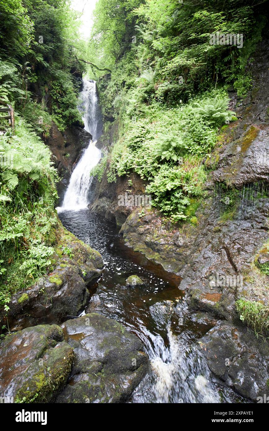Glenarrif forest park hi-res stock photography and images - Alamy