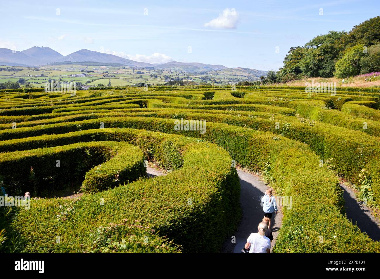 peace maze castlewellan county down northern ireland uk Stock Photo - Alamy