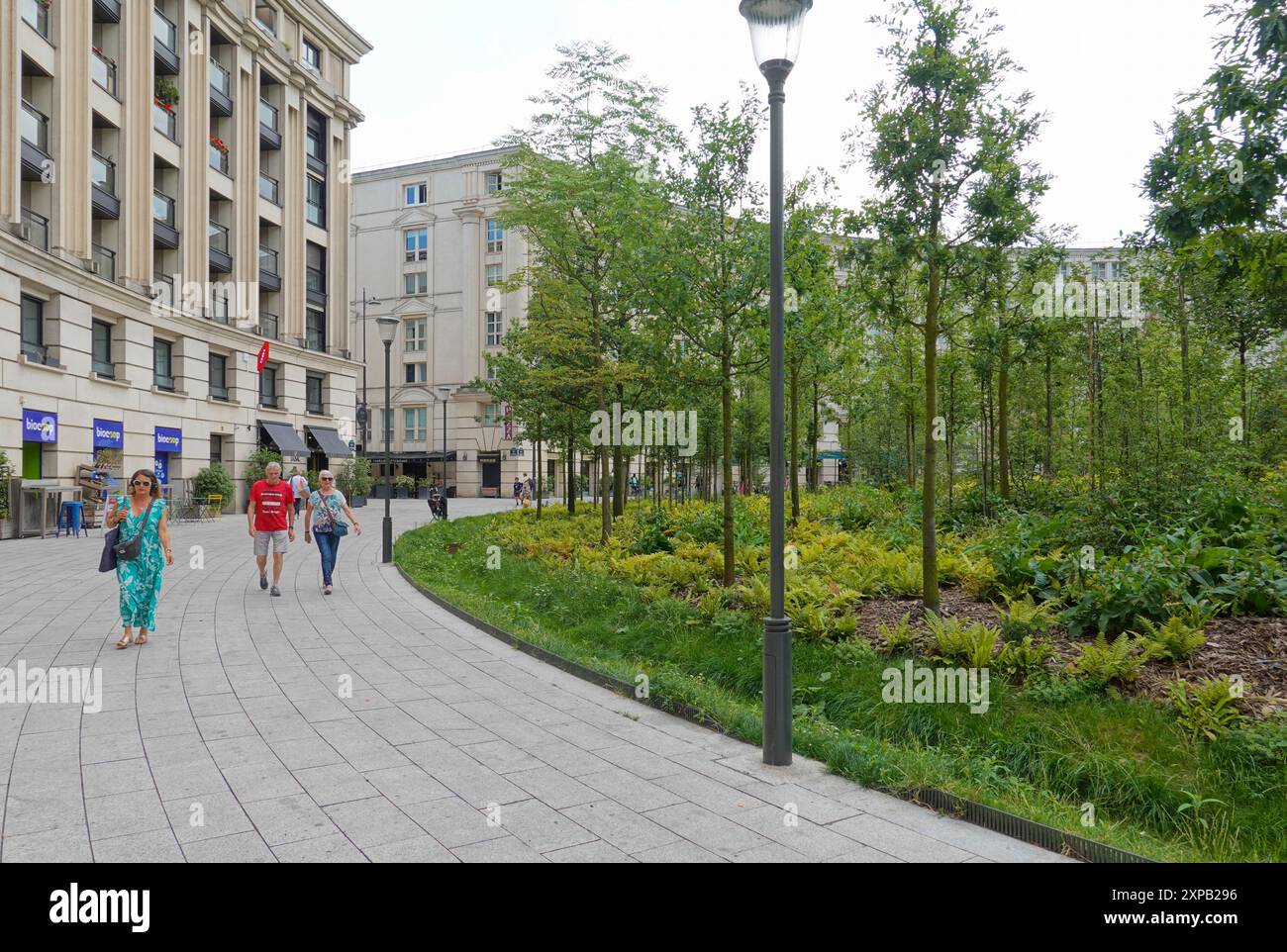 Paris, Place de Catalogne, Mikrowald, Stadtwald // Paris, Place de Catalogne, Tiny Forest Stock ...