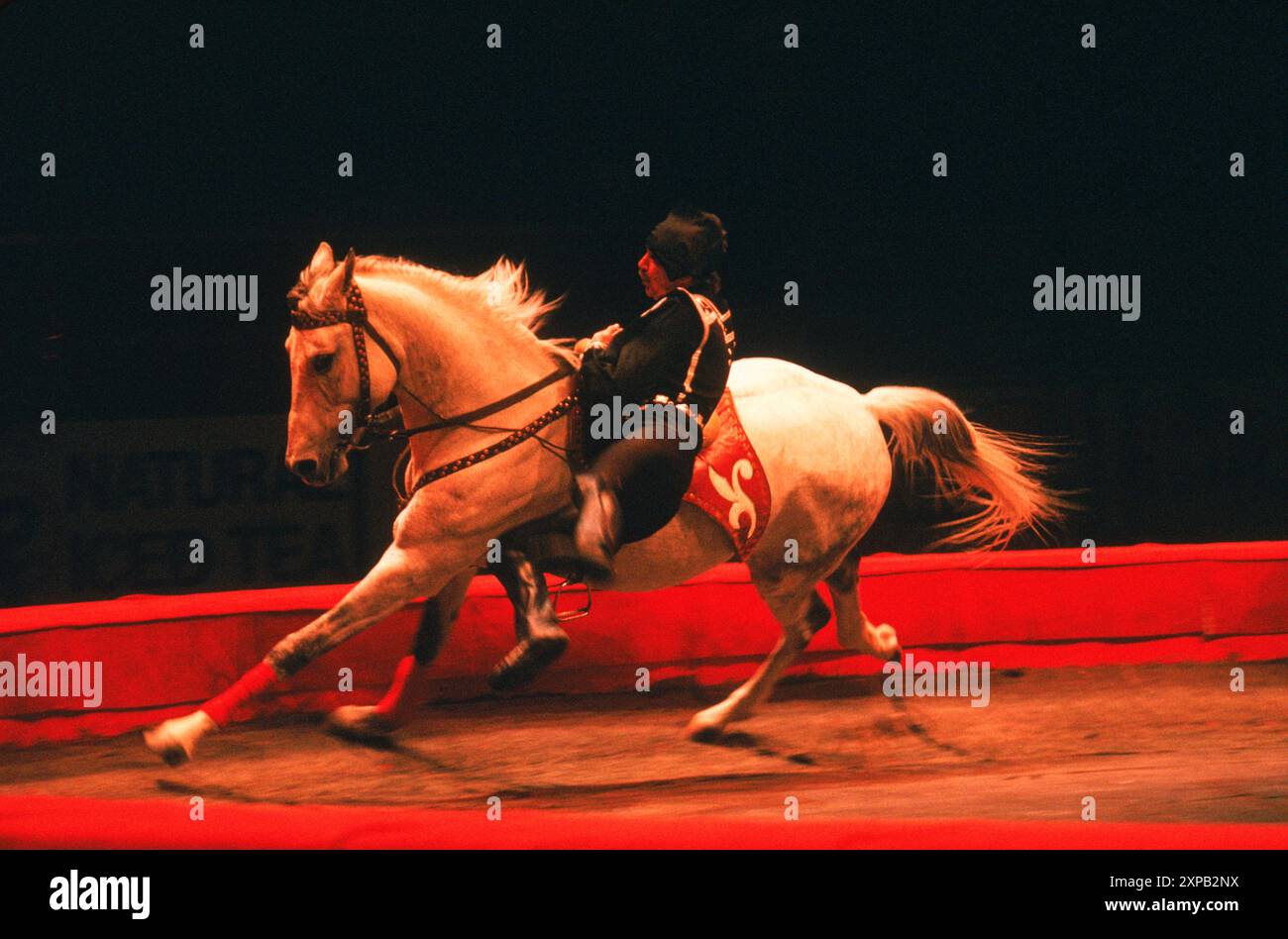 Moscow Circus-Animal Performance Stock Photo - Alamy