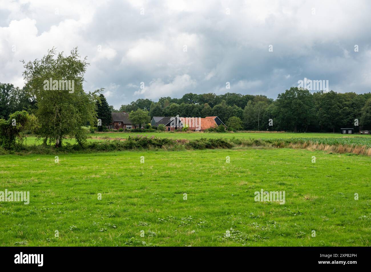 Green meadows and farm houses at the Dutch countryside around Ootmarsum ...