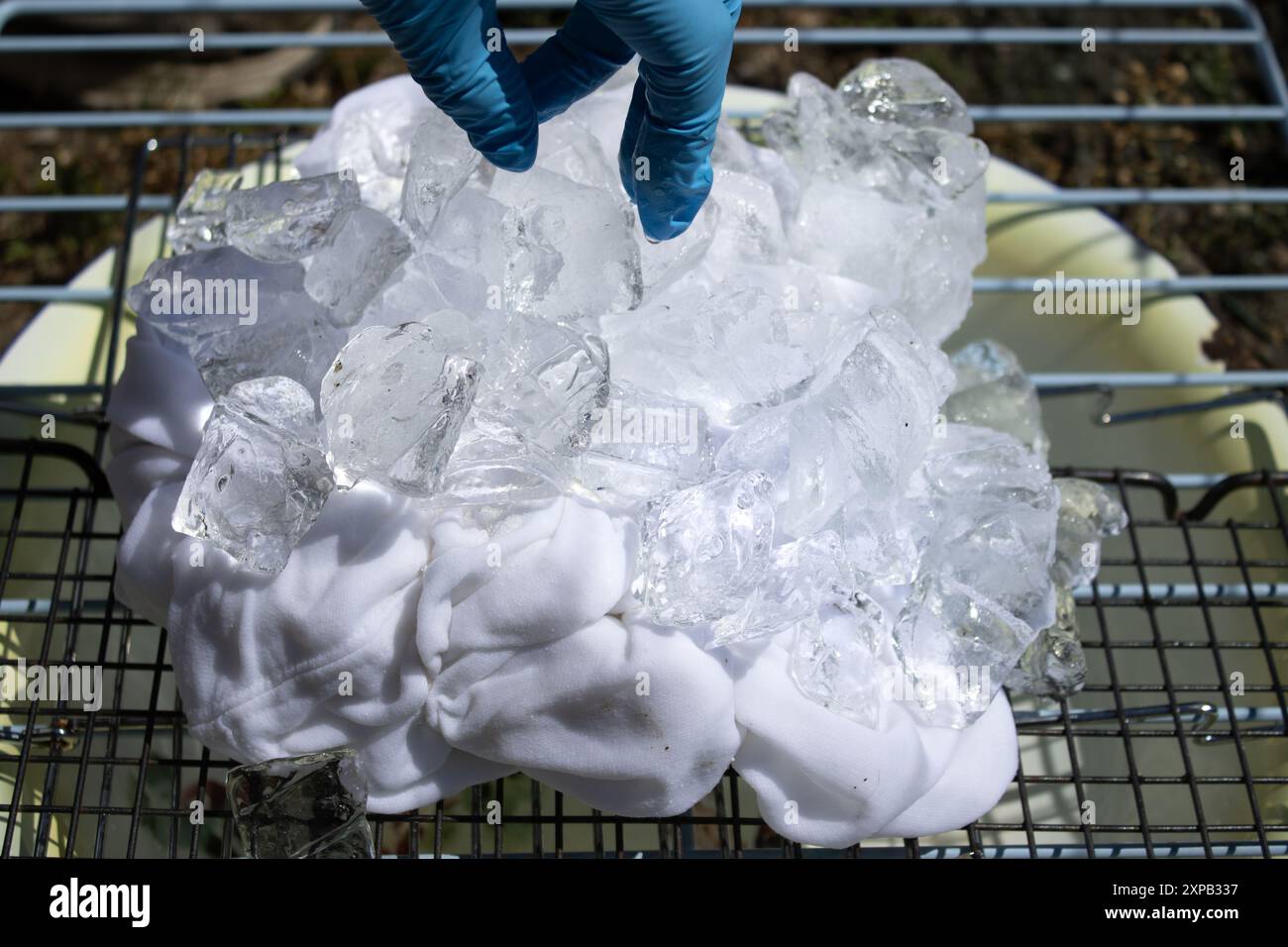 Youth preparing to ice dye clothes with clear ice cubes Stock Photo - Alamy
