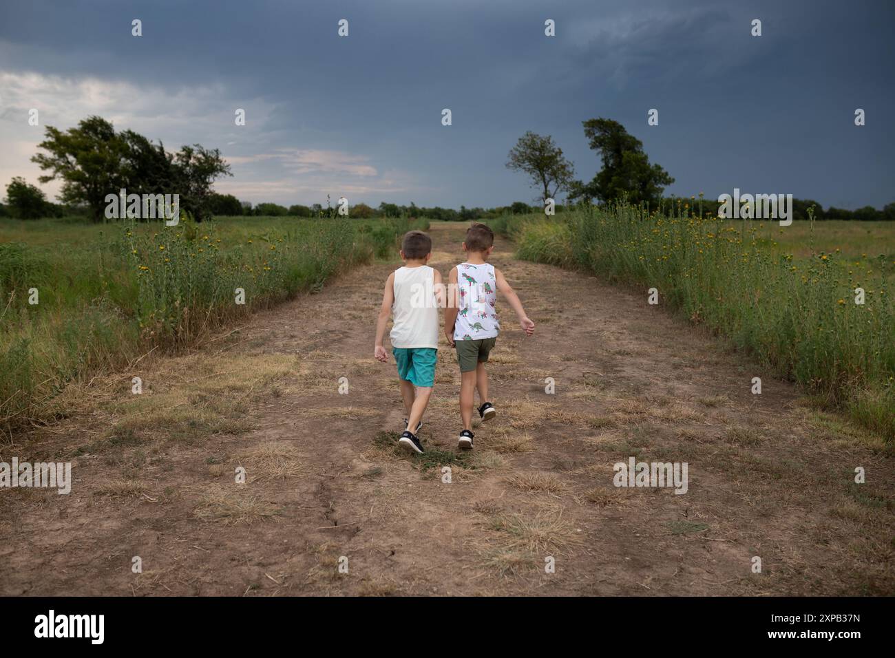 Two boys running in field hi-res stock photography and images - Alamy