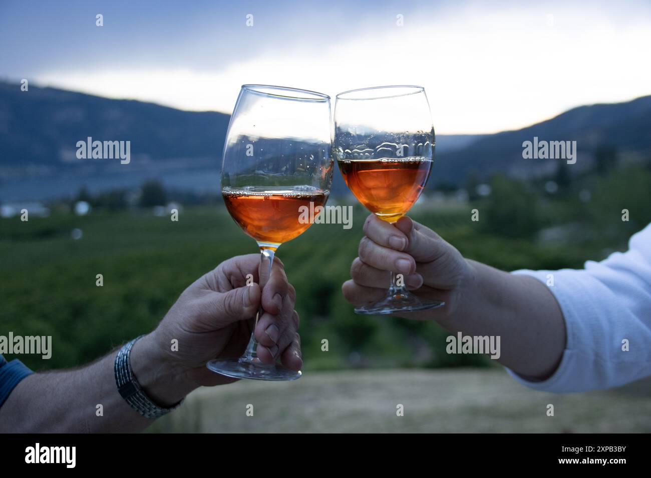 Couple toasting glasses wine hi-res stock photography and images - Alamy