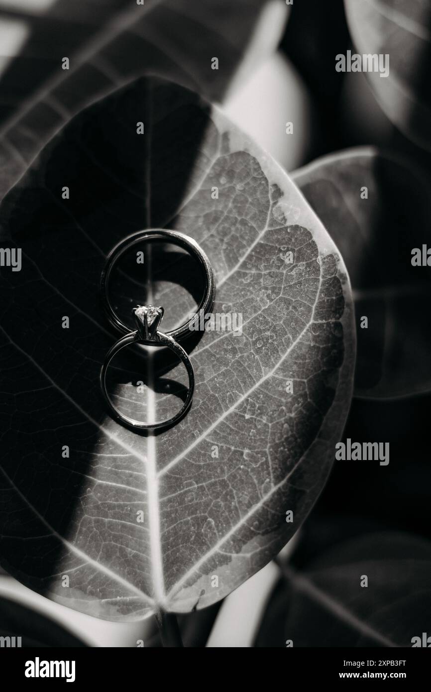 Dramatic shadows on new wedding bands Stock Photo - Alamy
