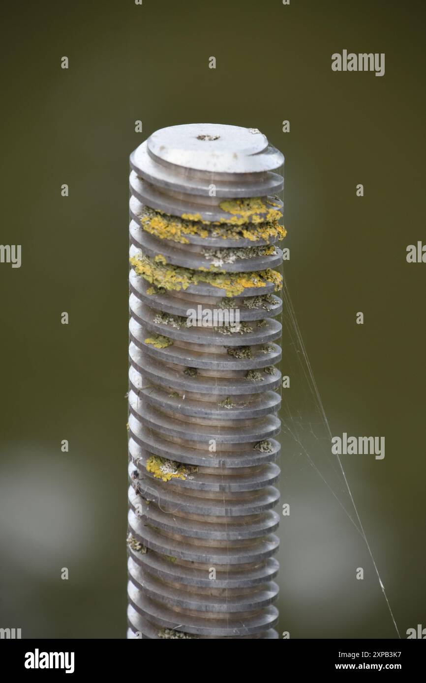Une pièce métal ancienne Stock Photo - Alamy