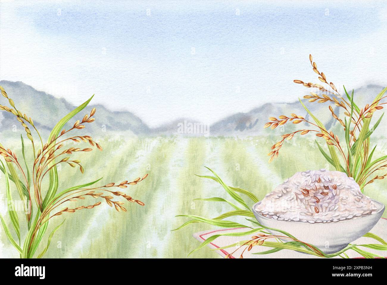 Rice Plant Painting Two Fields Of Rice Crops Meet And Draw A Natural