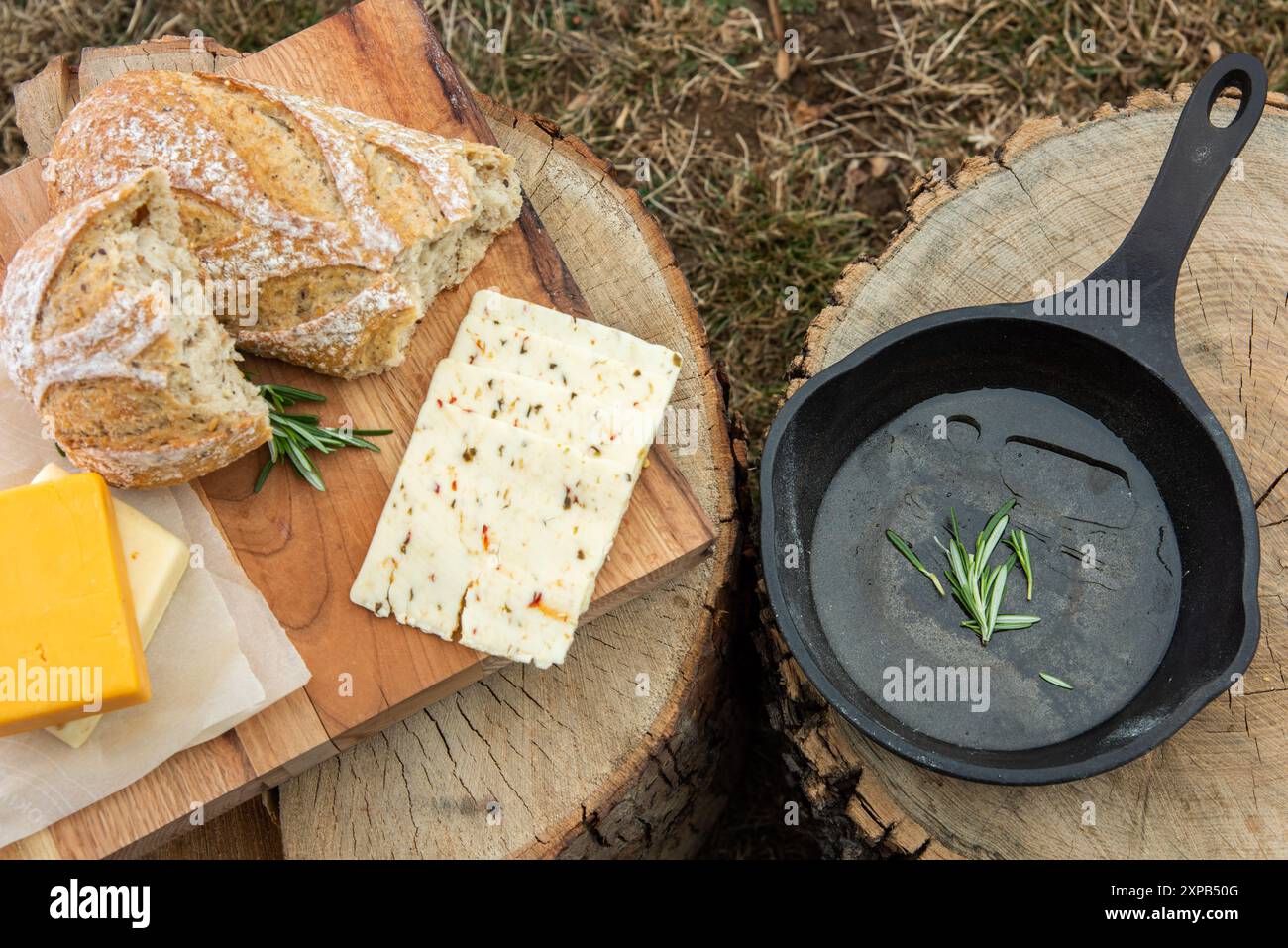 Rustic cheese, bread, and skillet with rosemary outdoors on tree Stock ...