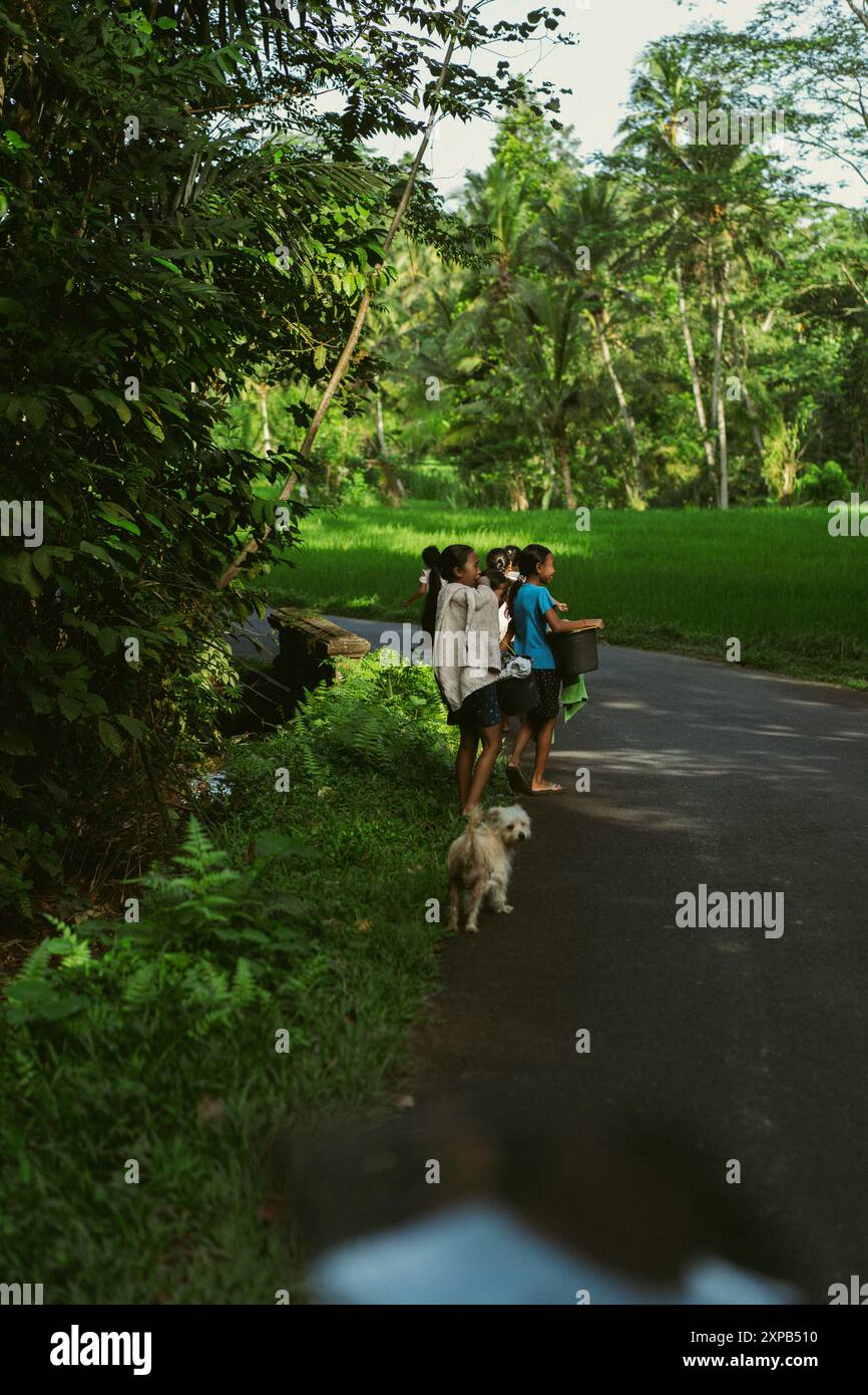 Children go to the river to do laundry, local life, Bali Stock Photo ...