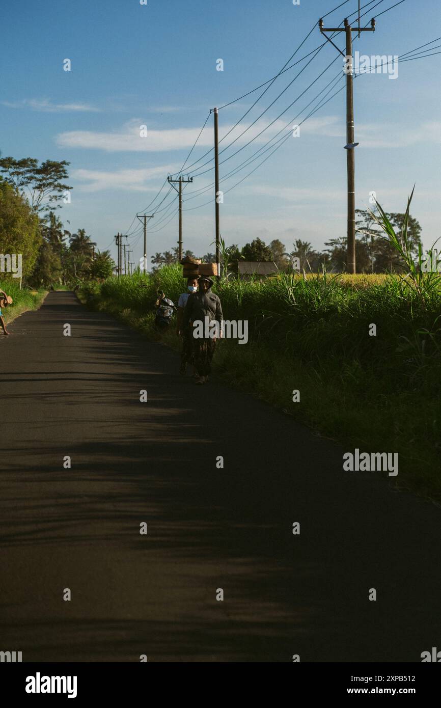 People carry things on their heads, Bali Stock Photo - Alamy