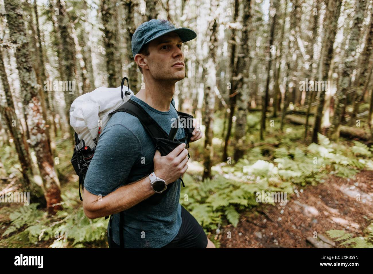 Male hiker with pack pauses while walking Appalachian Trail, Maine ...