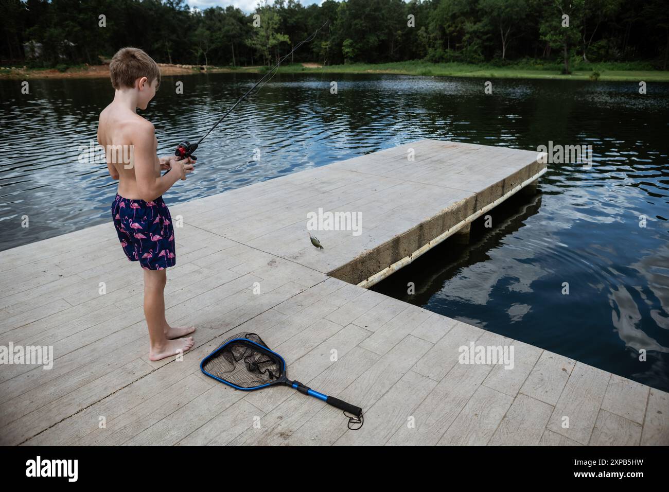 Boy reeling in small bluegill fish caught at lake Stock Photo - Alamy