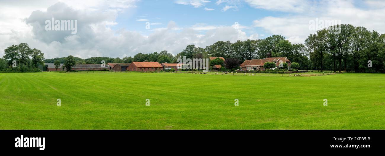 Green meadows and countryhouses at the Dutch border around Neuenhaus ...