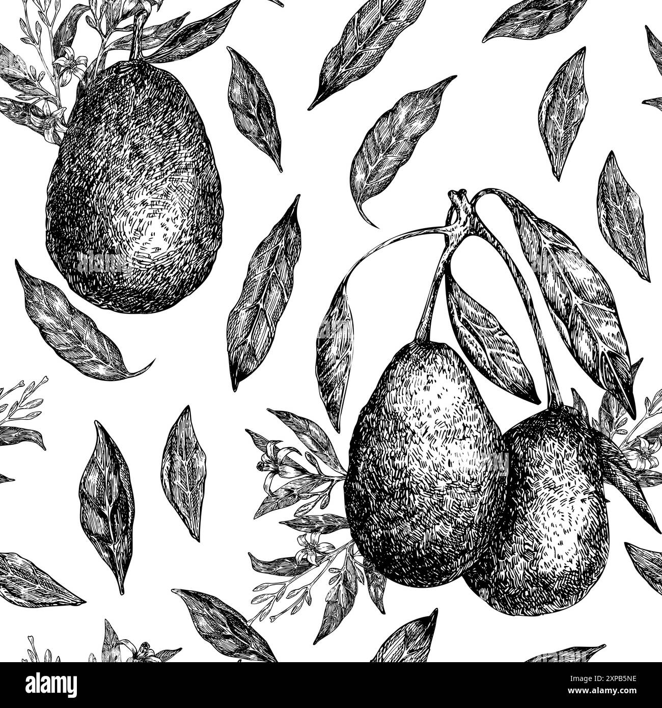 Seamless pattern with avocado hass graphic illustration, hand drawn ...