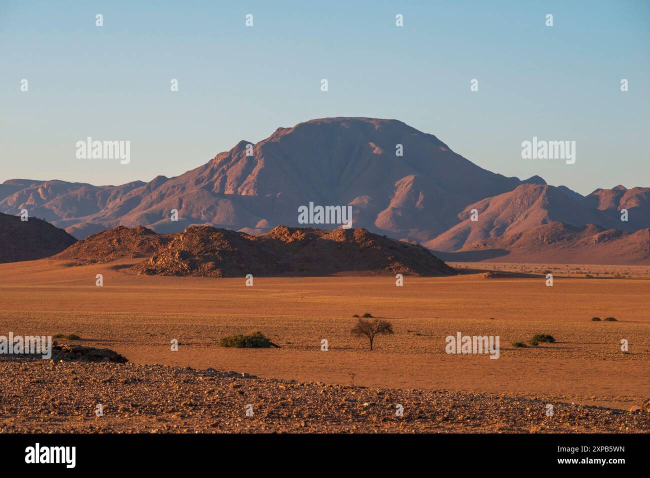 Twilight of the desert hi-res stock photography and images - Alamy