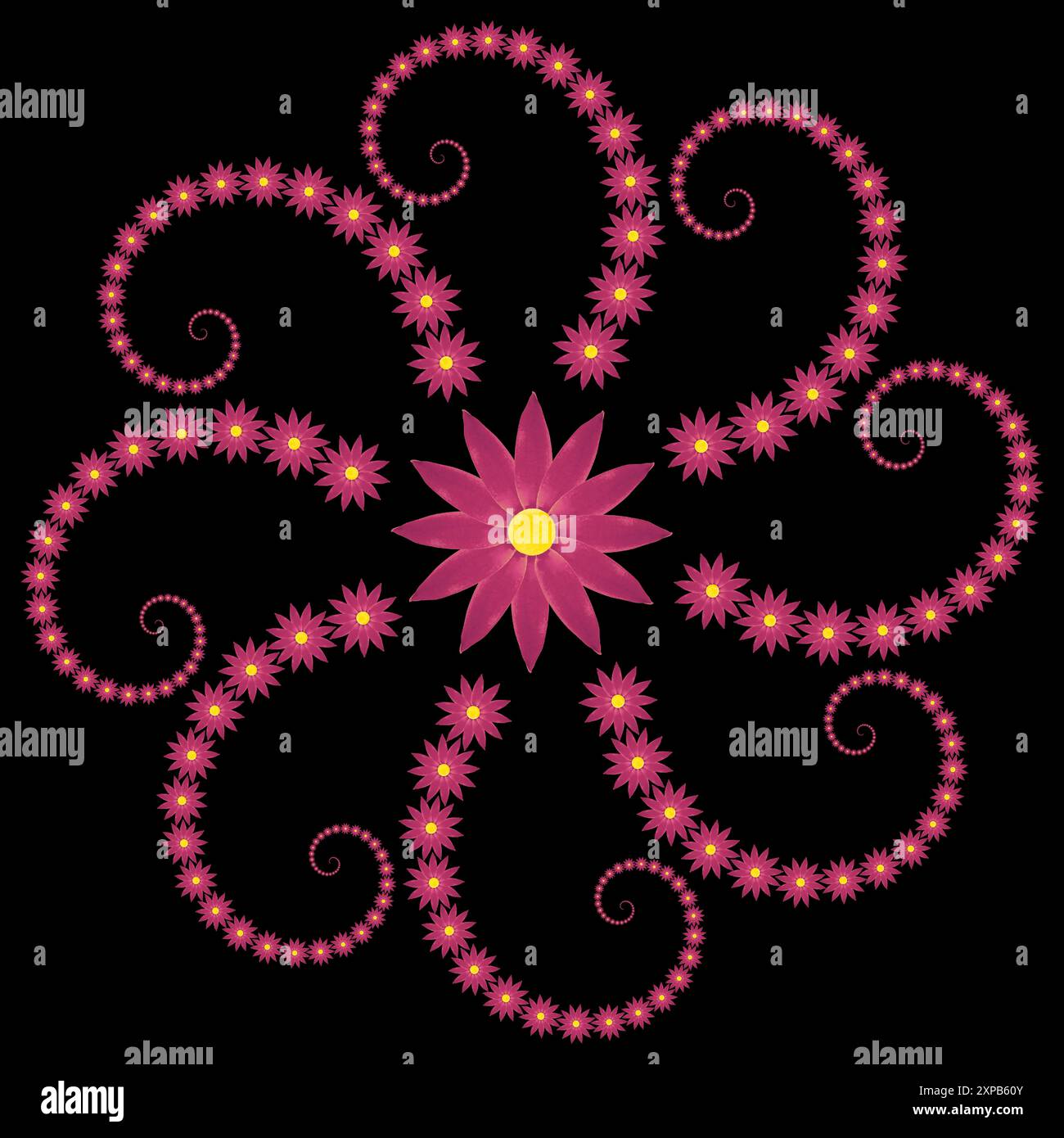 elegant flower made of curves of purple flowers against black ...