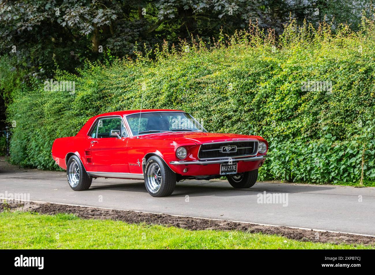 1964 mustang hi-res stock photography and images - Alamy