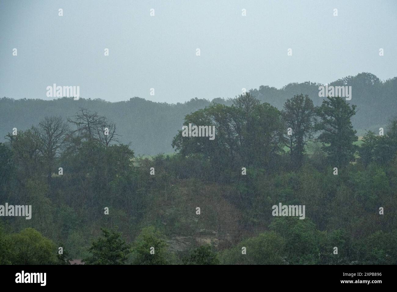 Regenwaldlandschaft hi-res stock photography and images - Alamy