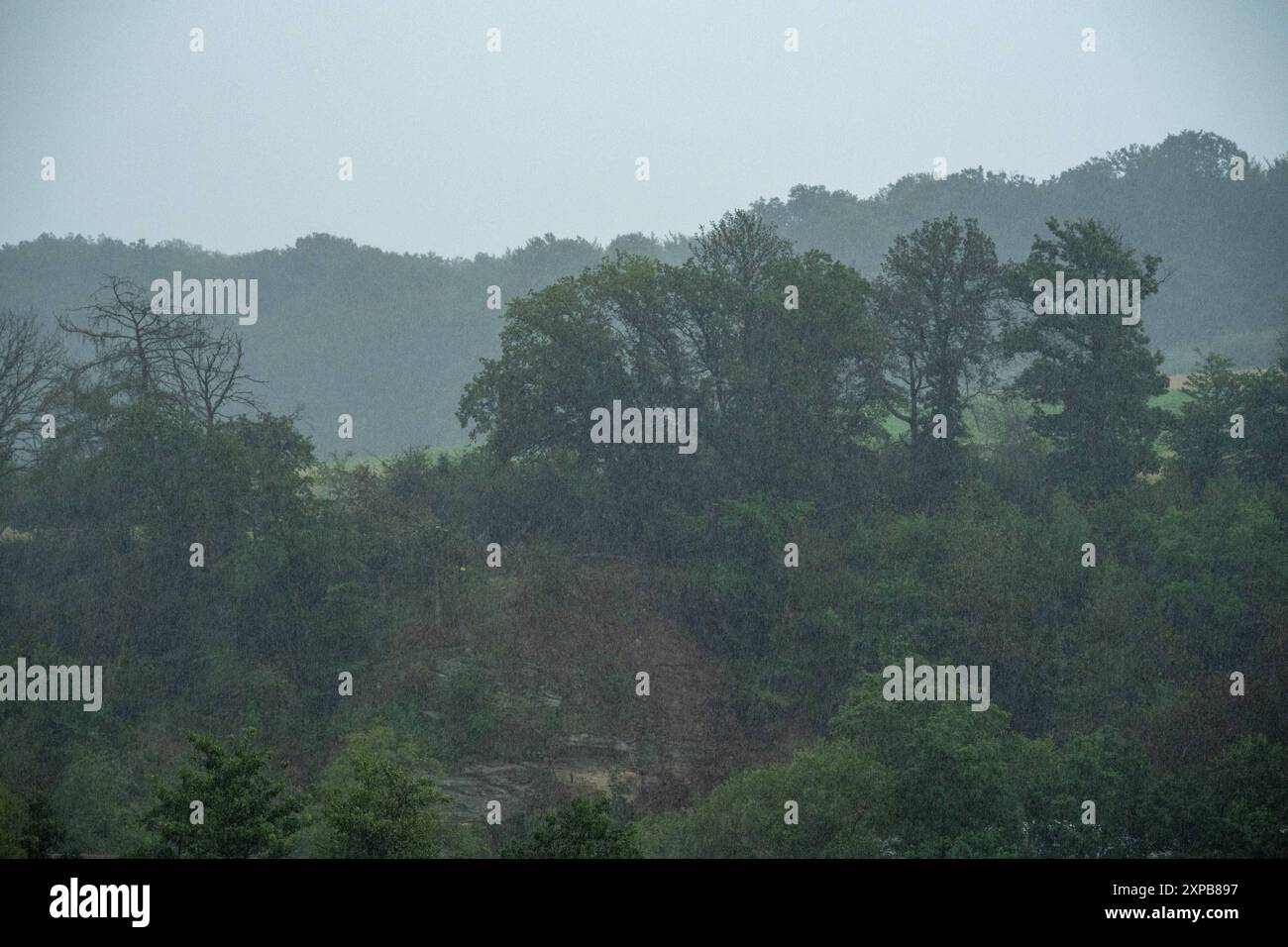 Regenwaldlandschaft hi-res stock photography and images - Alamy