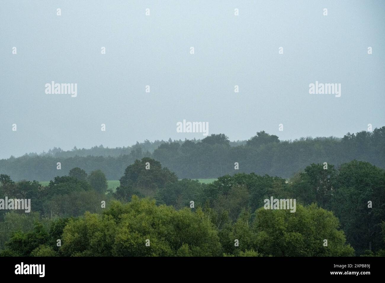 Regenwaldlandschaft hi-res stock photography and images - Alamy