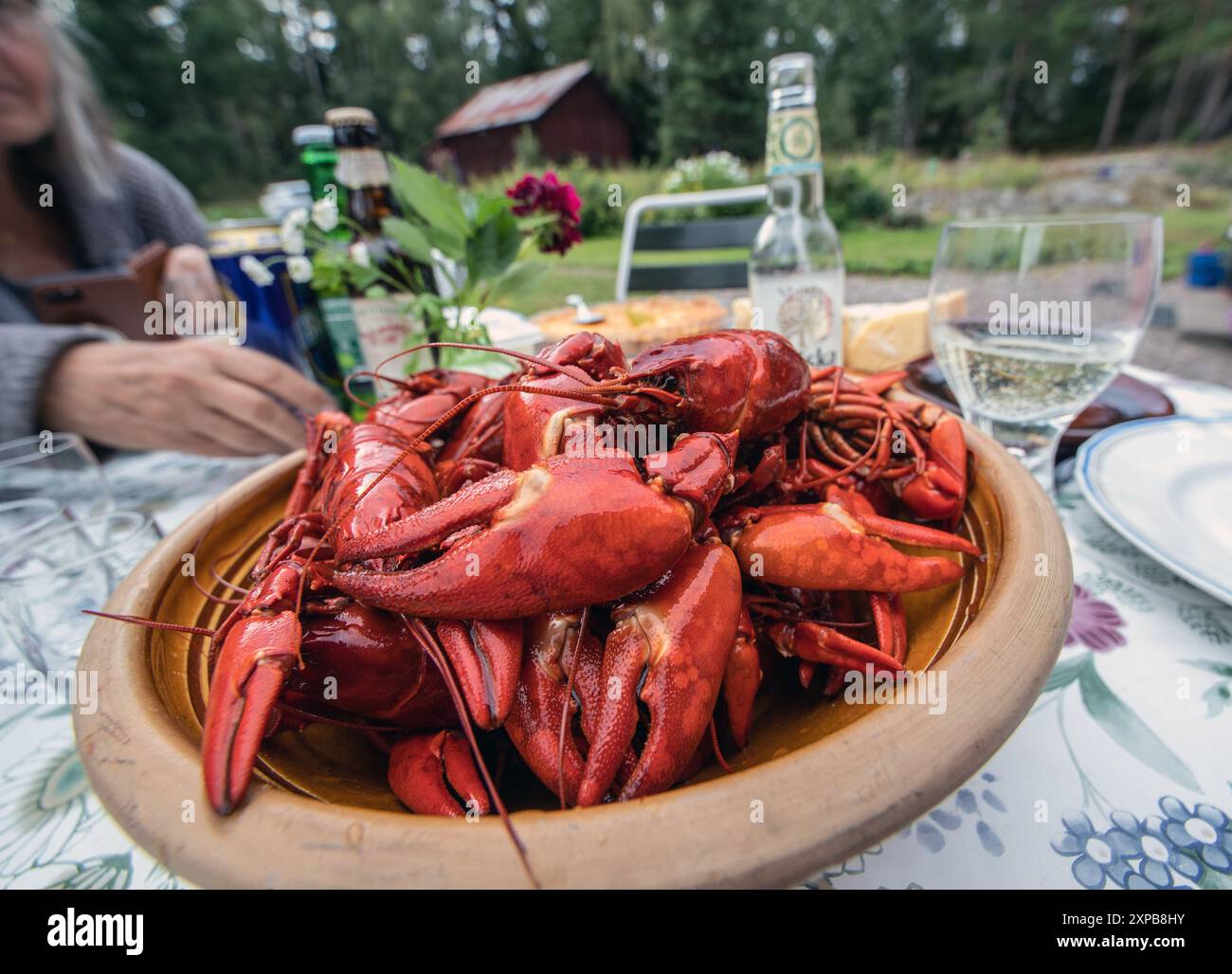 Boiled signal crayfish cooked crayfish hi-res stock photography and ...