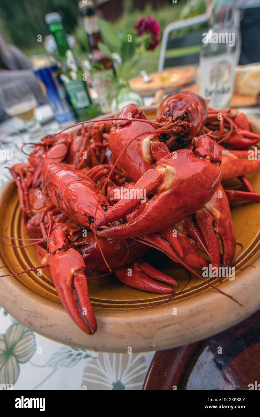 Freshly cooked crayfish on a set table Stock Photo - Alamy