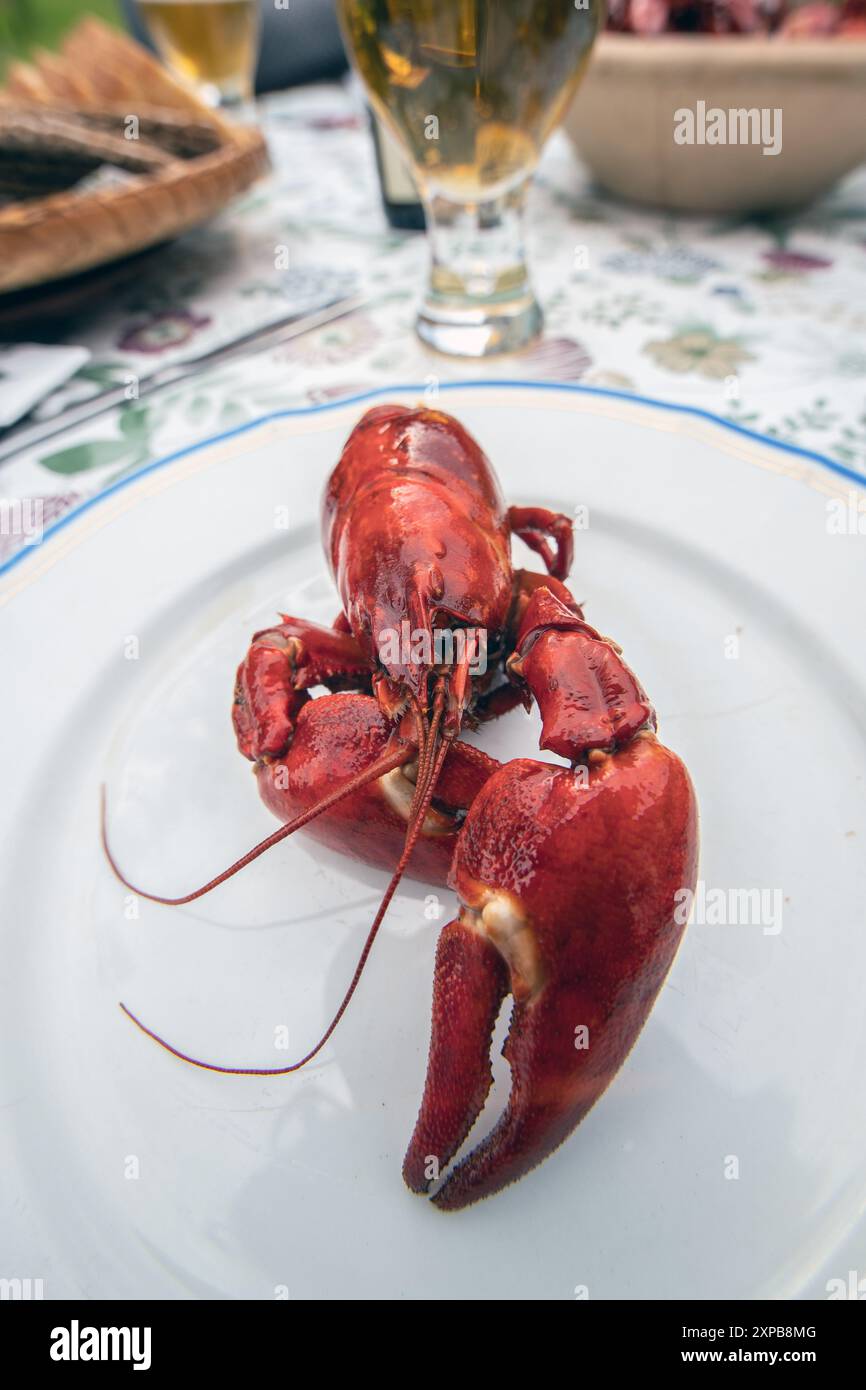 Big crayfish hi-res stock photography and images - Alamy