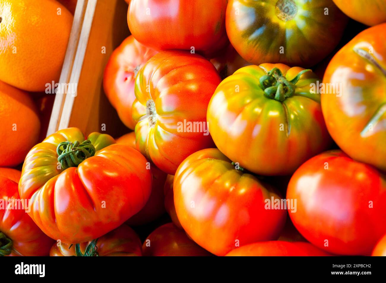 Raf tomatoes hi-res stock photography and images - Alamy