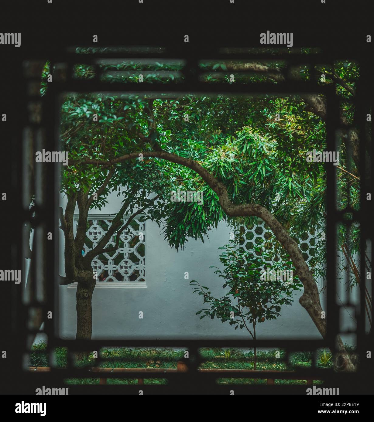 A view through a window of a Chinese garden in Suzhou. Lush green trees ...