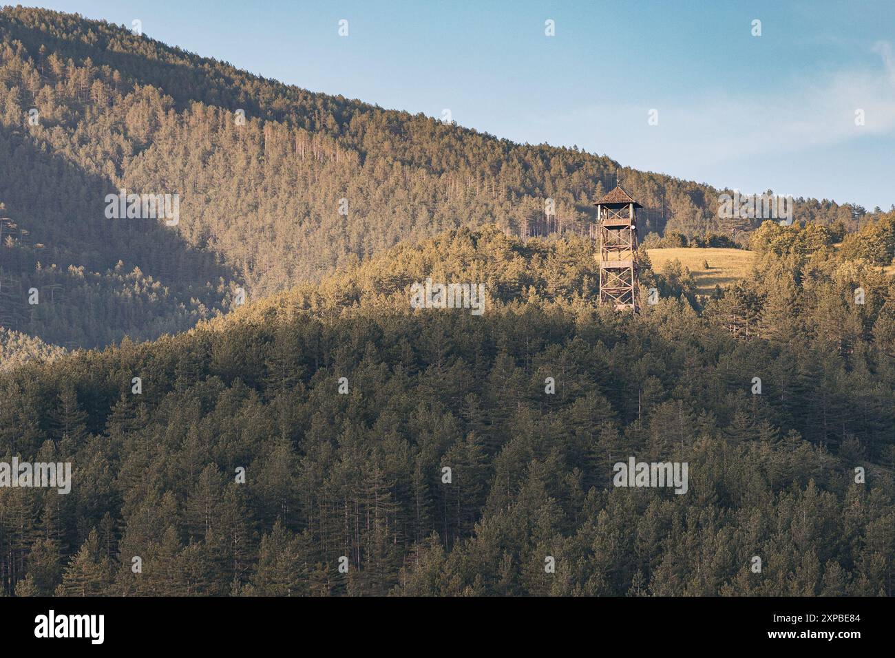 High wooden watchtower in the forest, perfect for birdwatching and ...