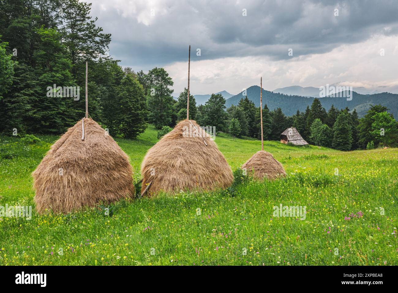Serbian landscape green hills hi-res stock photography and images - Alamy