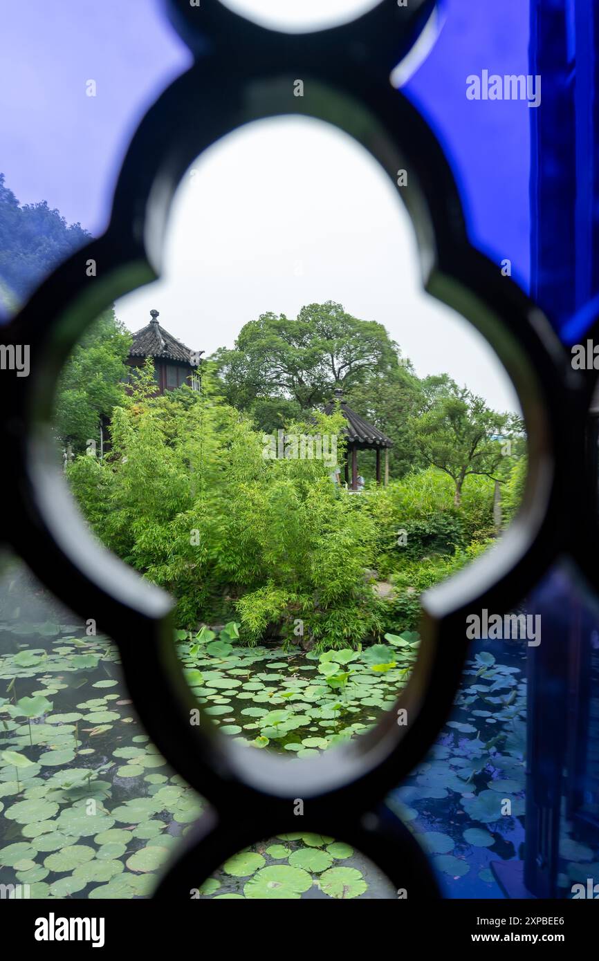 Suzhou, China - June 11, 2024 : A view of a pond covered in lily pads ...