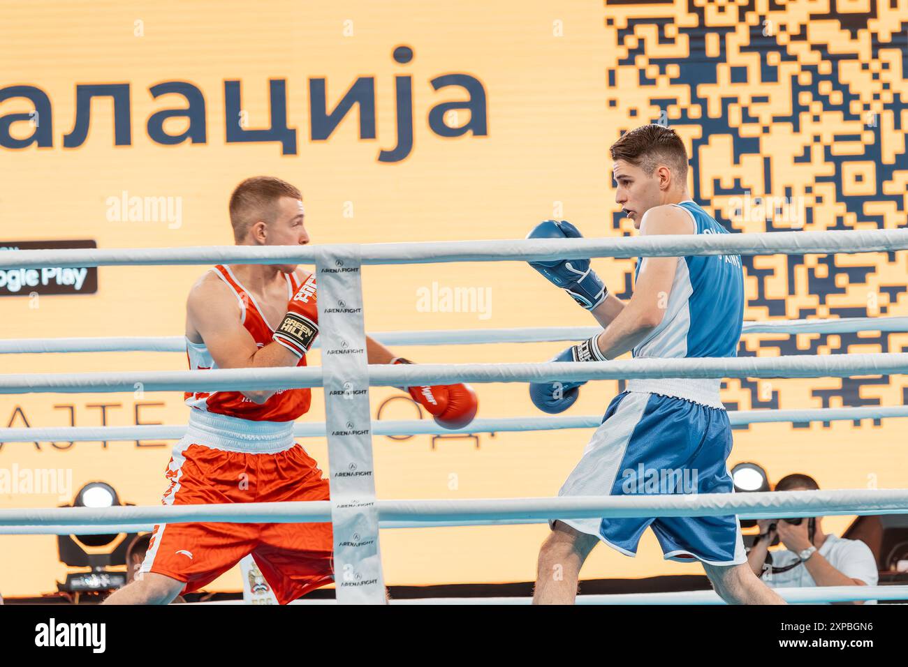 24 May 2024, Belgrade, Serbia: Serbian boxer delivering a powerful ...
