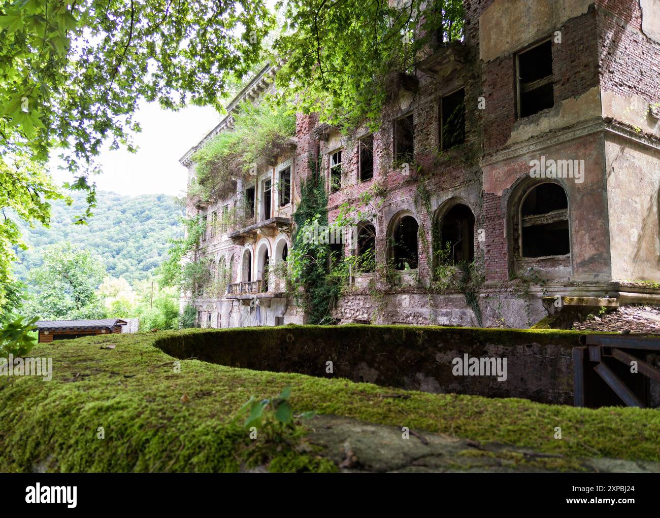 Overgrown City Ruins 8,100+ Overgrown City Stock Photos, Pictures