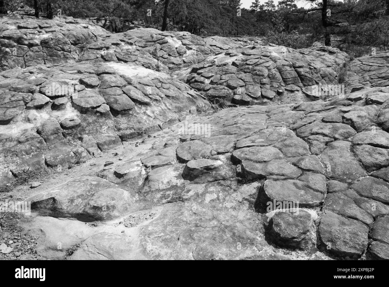 Stock Photo of turtle rocks at Petit Jean State Park near Morrilton ...