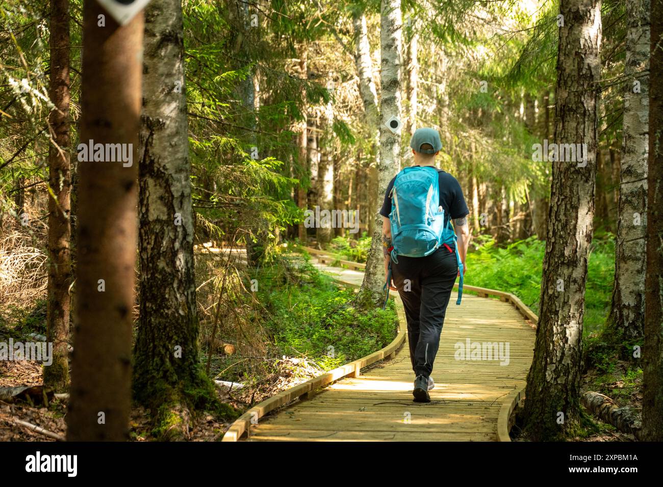 Woman hiking in path jungle hi-res stock photography and images - Alamy