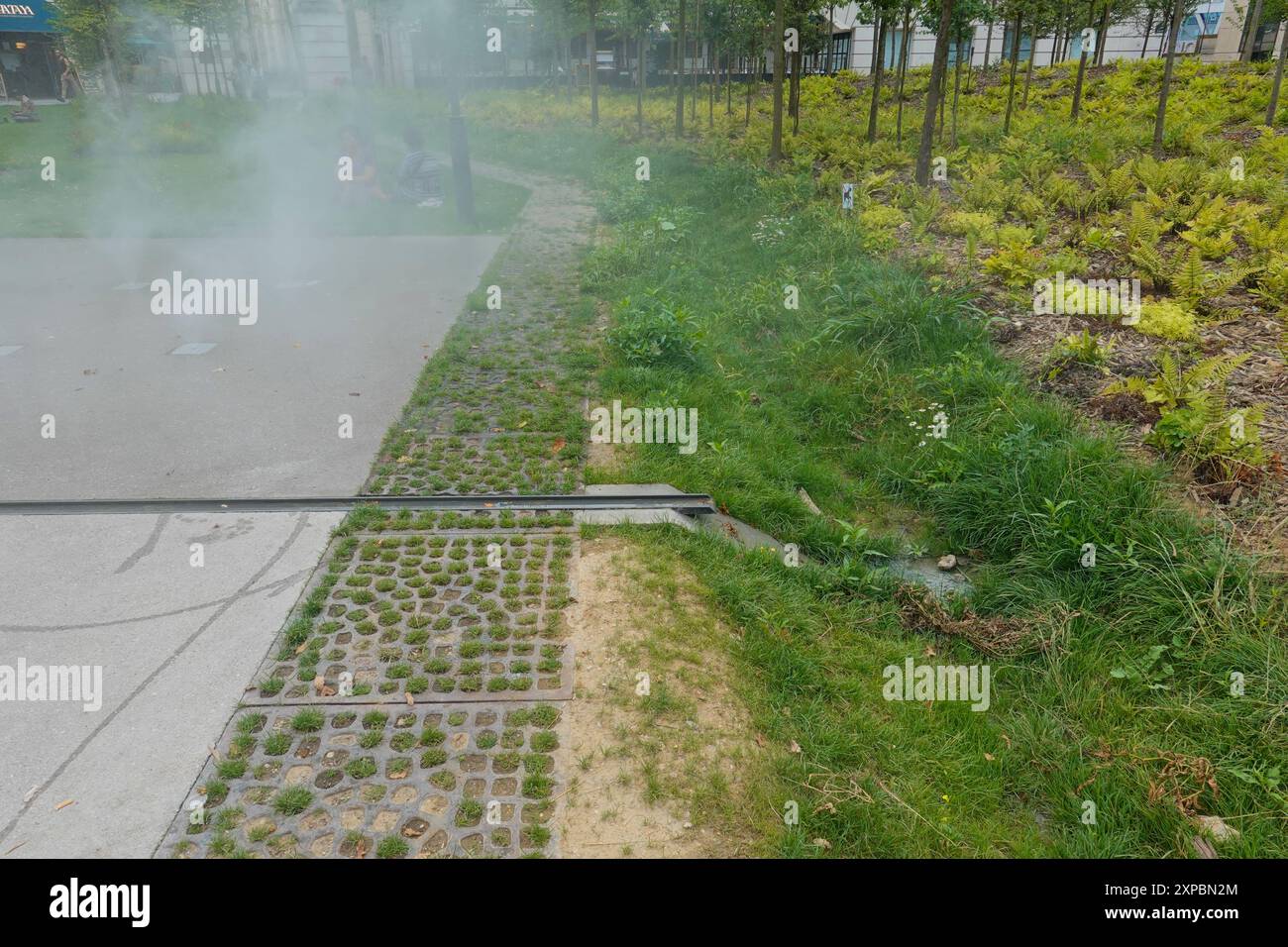 Paris, Place de Catalogne, Mikrowald, Stadtwald // Paris, Place de ...