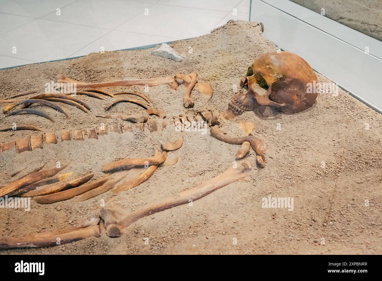 09 June 2024, Boljetin, Serbia: Reconstruction of human skeletons and ...
