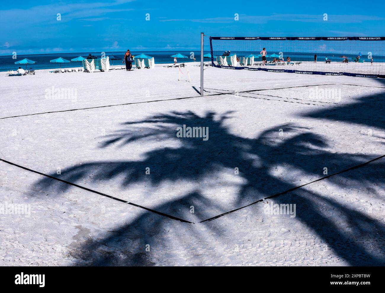 Palm tree outlined on a beach volleyball court Stock Photo - Alamy