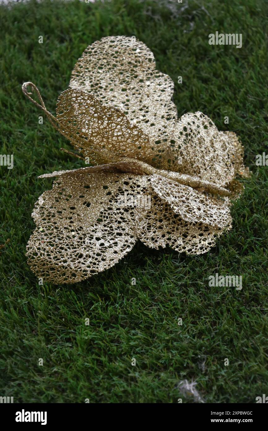 En forme de papillon hi-res stock photography and images - Alamy