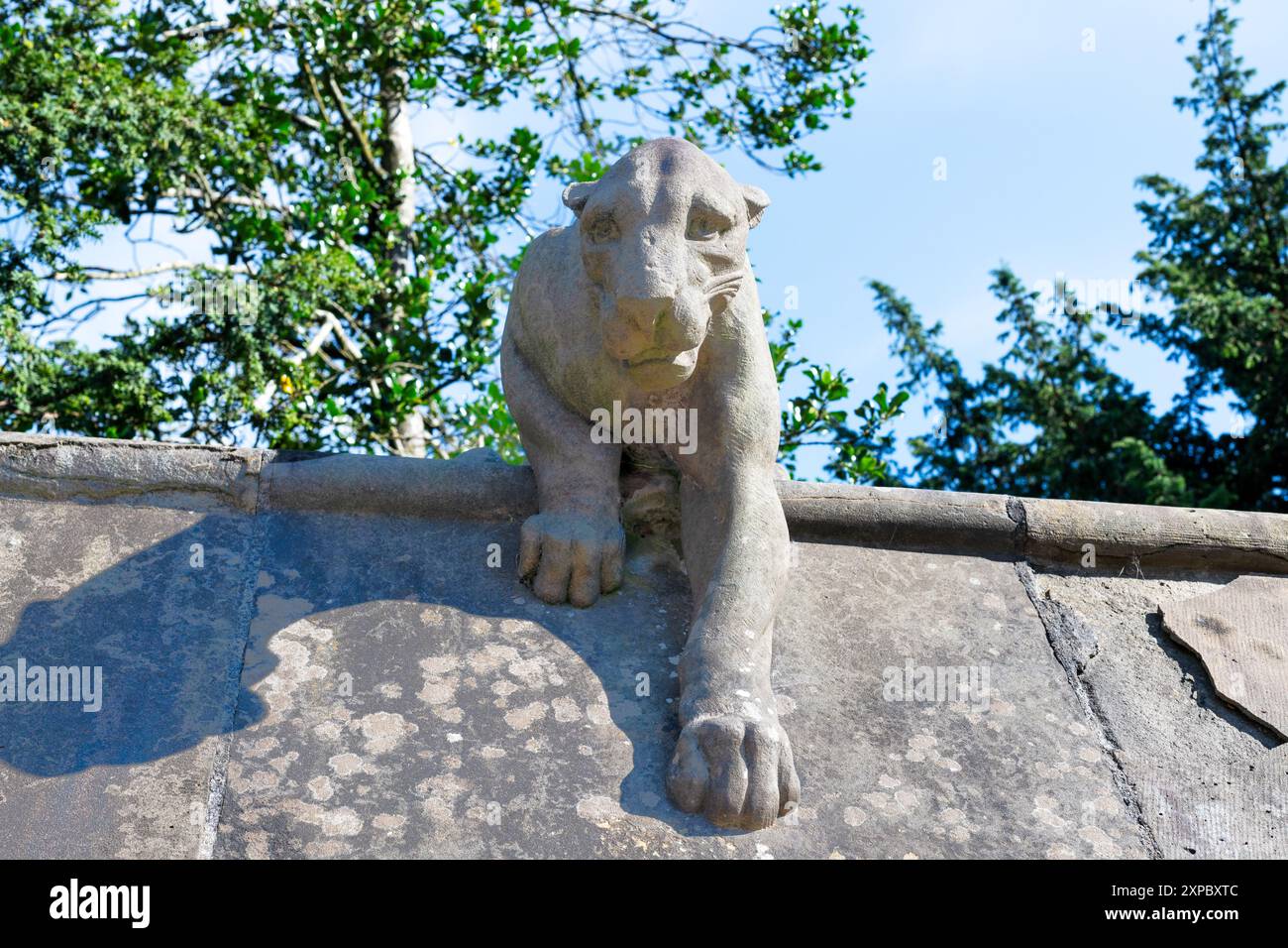 A stone panther on Animal Walk, Bute Park, Cardiff UK. Sculpture in ...