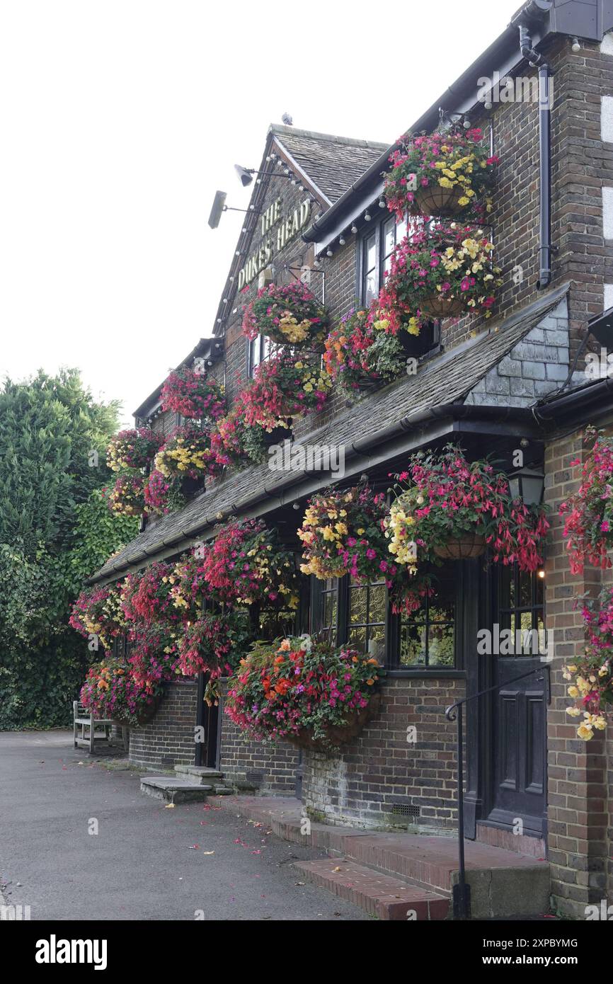Traditional english pub flowers hi-res stock photography and images - Alamy