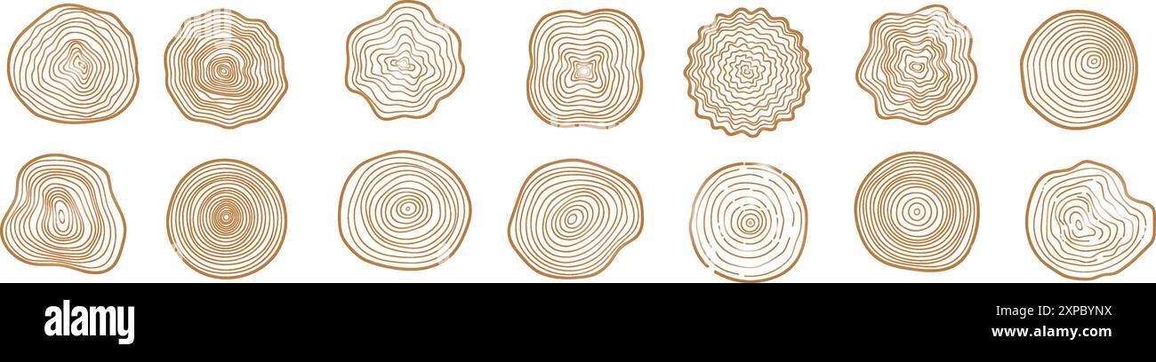 Tree rings, hand-drawn wood slice texture, abstract tree age year ...