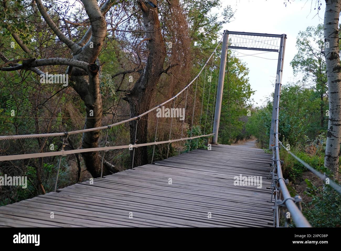 Rope bridge on the urban forest city Stock Photo - Alamy