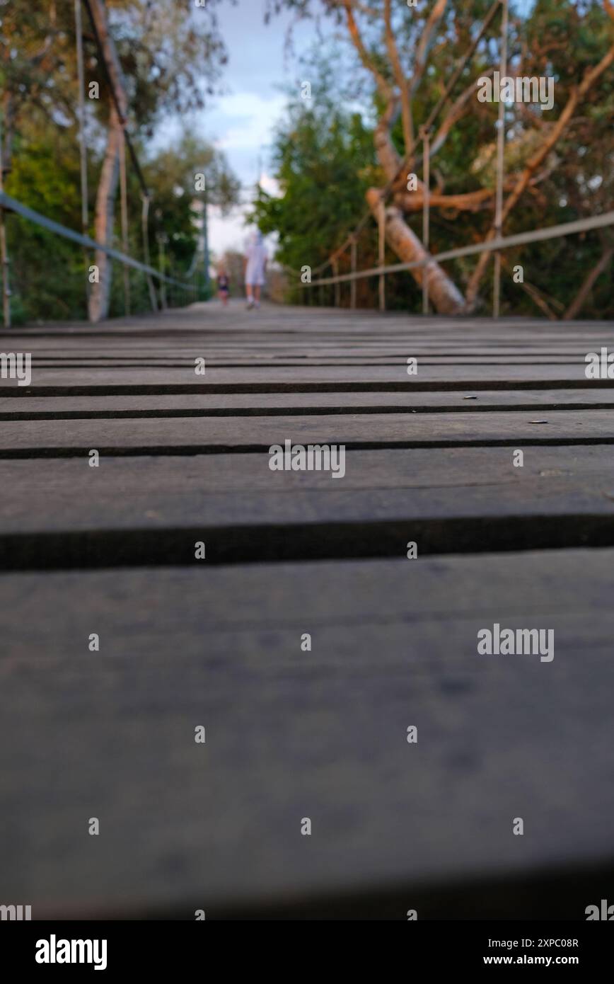 Rope bridge in the urban forest Stock Photo - Alamy
