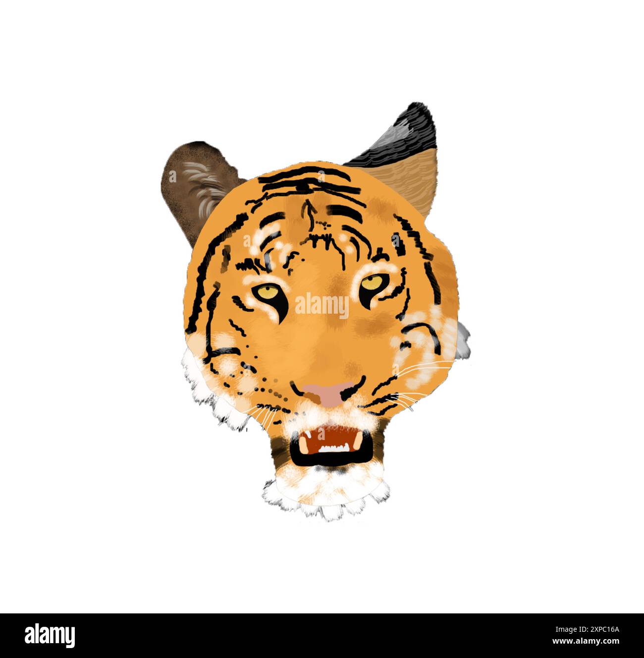 Illustration of a tiger's head stalking prey with its mouth open as if it were hungry Stock ...