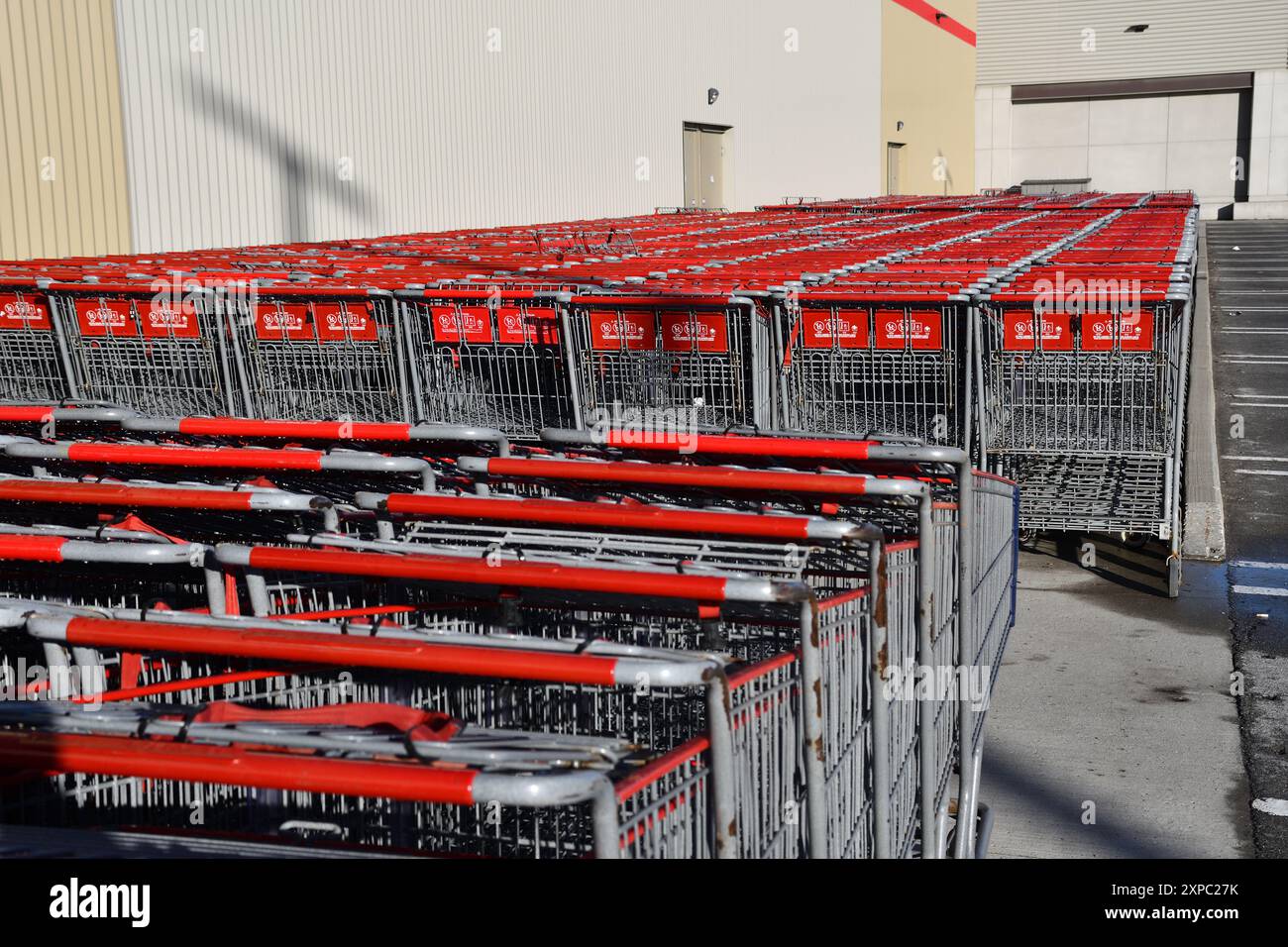 Shopping carts parking. Grocery carts rows Stock Photo - Alamy