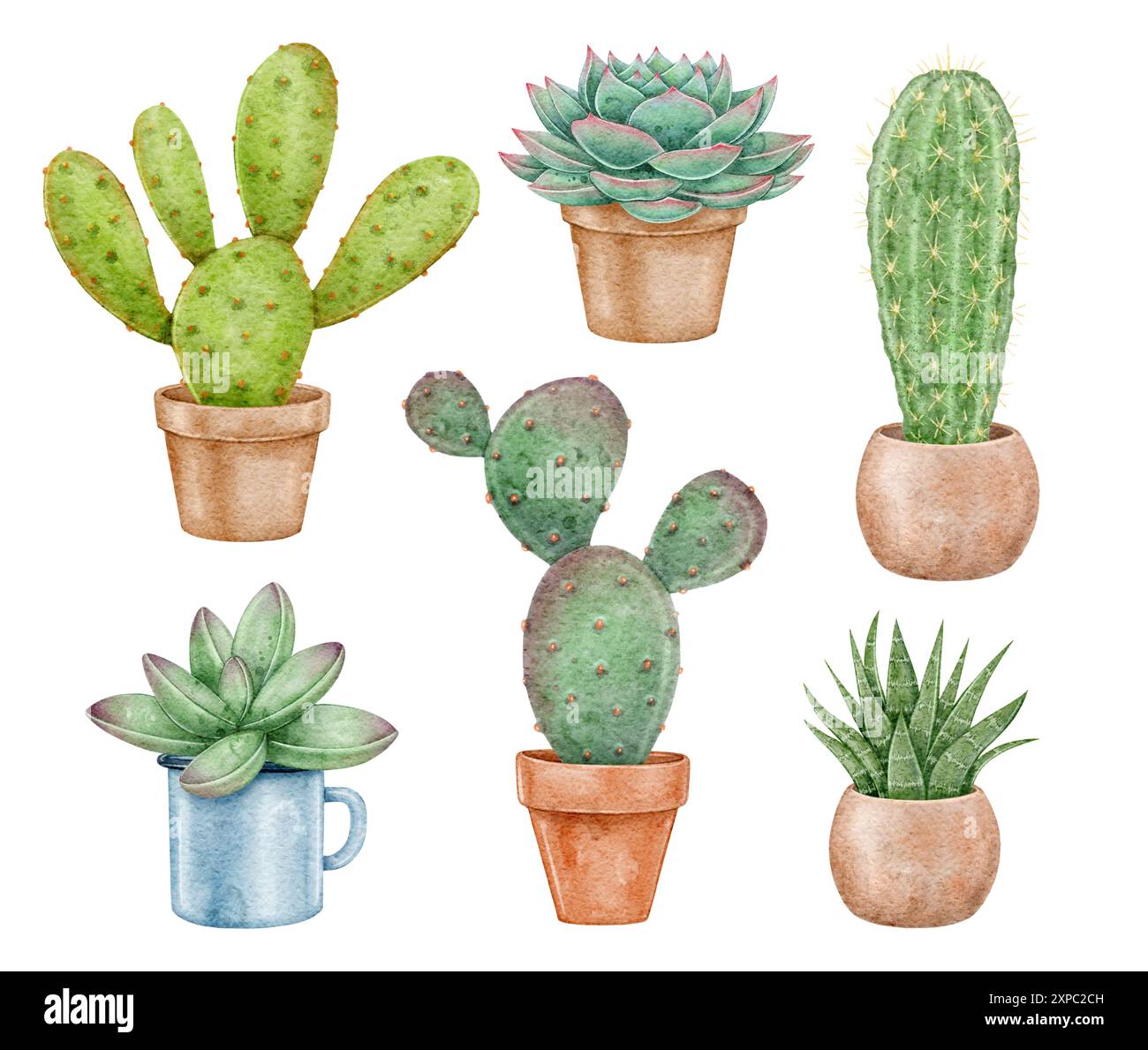 Succulents in pots hi-res stock photography and images - Alamy